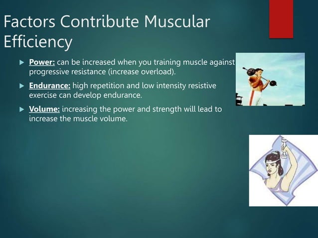 ACTIVE MOVEMENTS.ppt | Physical Therapy | Wellness