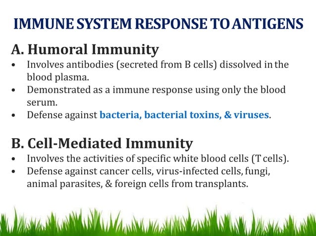 Active and passive immunity | PPTX | Infectious Diseases | Diseases and ...