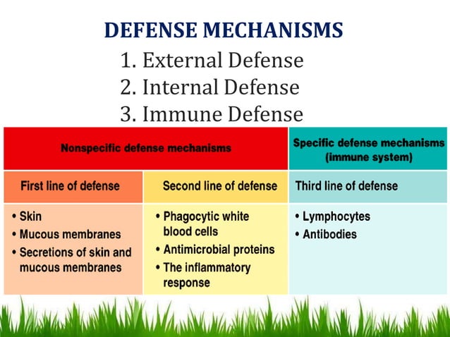 Active and passive immunity | PPTX | Infectious Diseases | Diseases and ...
