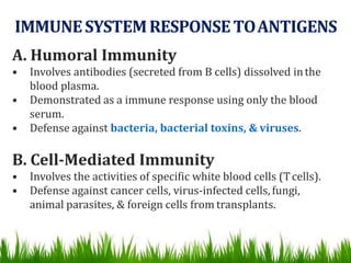 Active And Passive Humoral Immunity
