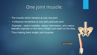 Active and passive insufficiency Kinseology pptx. | PPTX