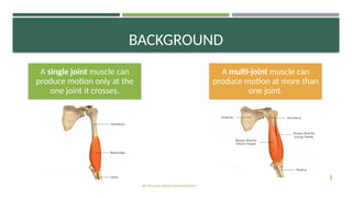 Active passive insufficiency , Kinesiology - Aayushi Bodiwala | PPTX