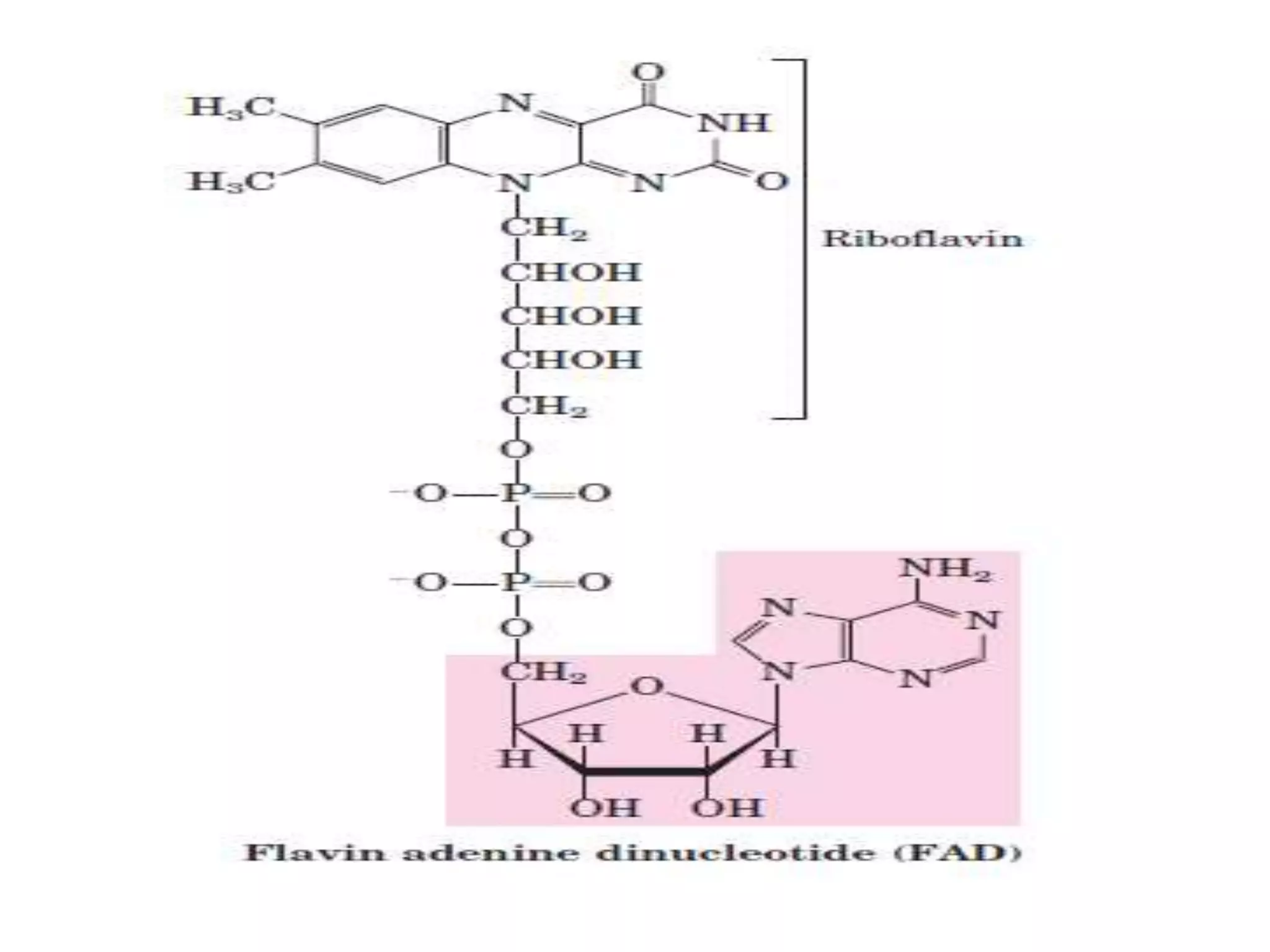 ACTIVE SITE of an enzyme | PPTX