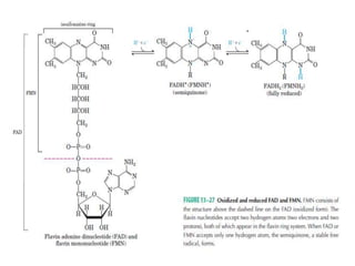 ACTIVE SITE of an enzyme | PPTX