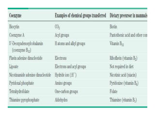 ACTIVE SITE of an enzyme | PPTX