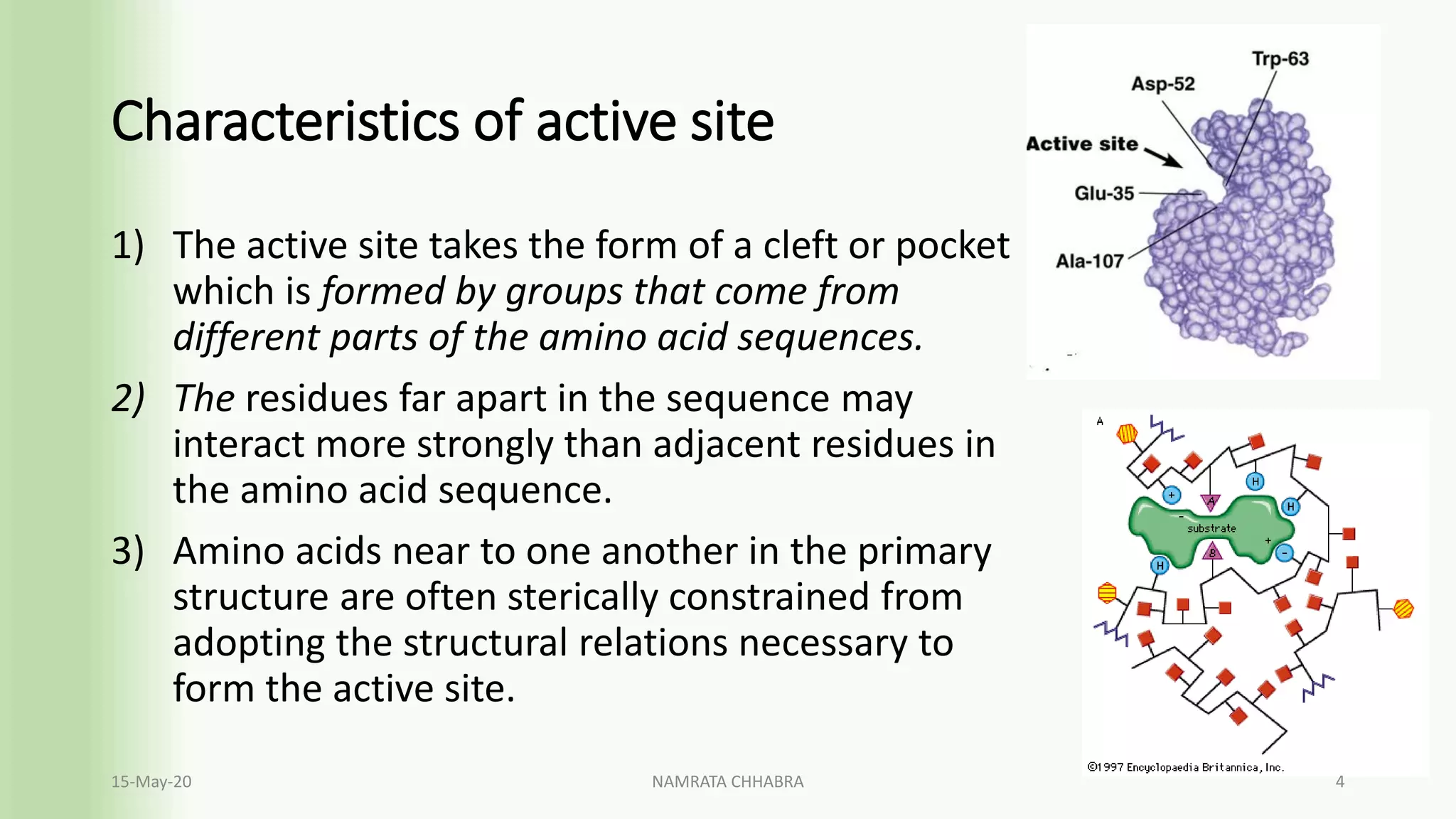 Active site of an enzyme | PDF