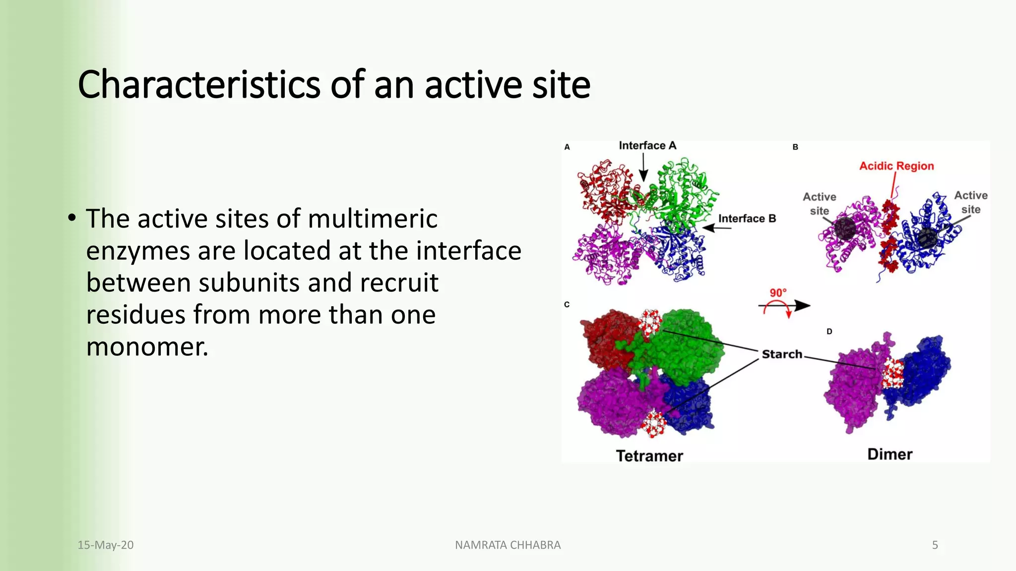 Active site of an enzyme | PDF