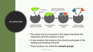 Active site of an enzyme | PDF