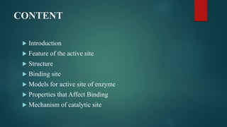 Active site of enzyme | PPTX