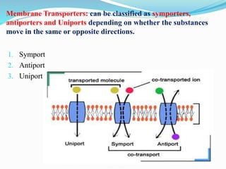 Active transport | PPTX