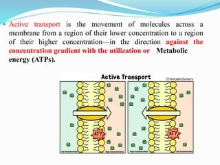 Active transport | PPTX