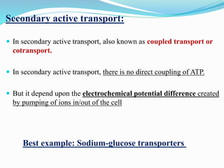 Active Transport Example