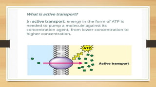 Active transport | PPTX