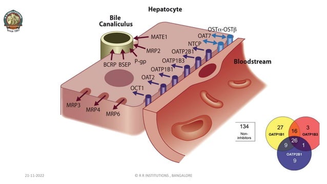 ACTIVE TRANSPORT- hPEPT1,ASBT,OCT,OATP, BBB-Choline Transporter.pptx