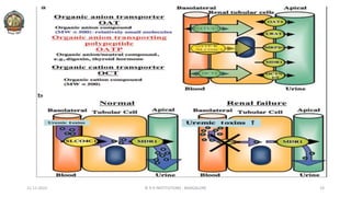 ACTIVE TRANSPORT- hPEPT1,ASBT,OCT,OATP, BBB-Choline Transporter.pptx