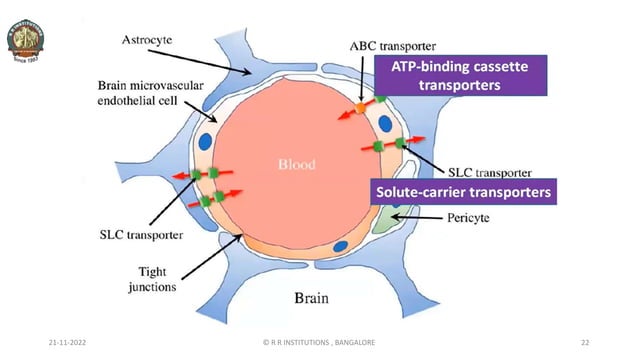 ACTIVE TRANSPORT- hPEPT1,ASBT,OCT,OATP, BBB-Choline Transporter.pptx