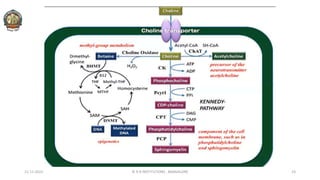 ACTIVE TRANSPORT- hPEPT1,ASBT,OCT,OATP, BBB-Choline Transporter.pptx