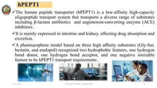 ACTIVE TRANSPORT- hPEPT1,ASBT,OCT,OATP, BBB-Choline Transporter.pptx