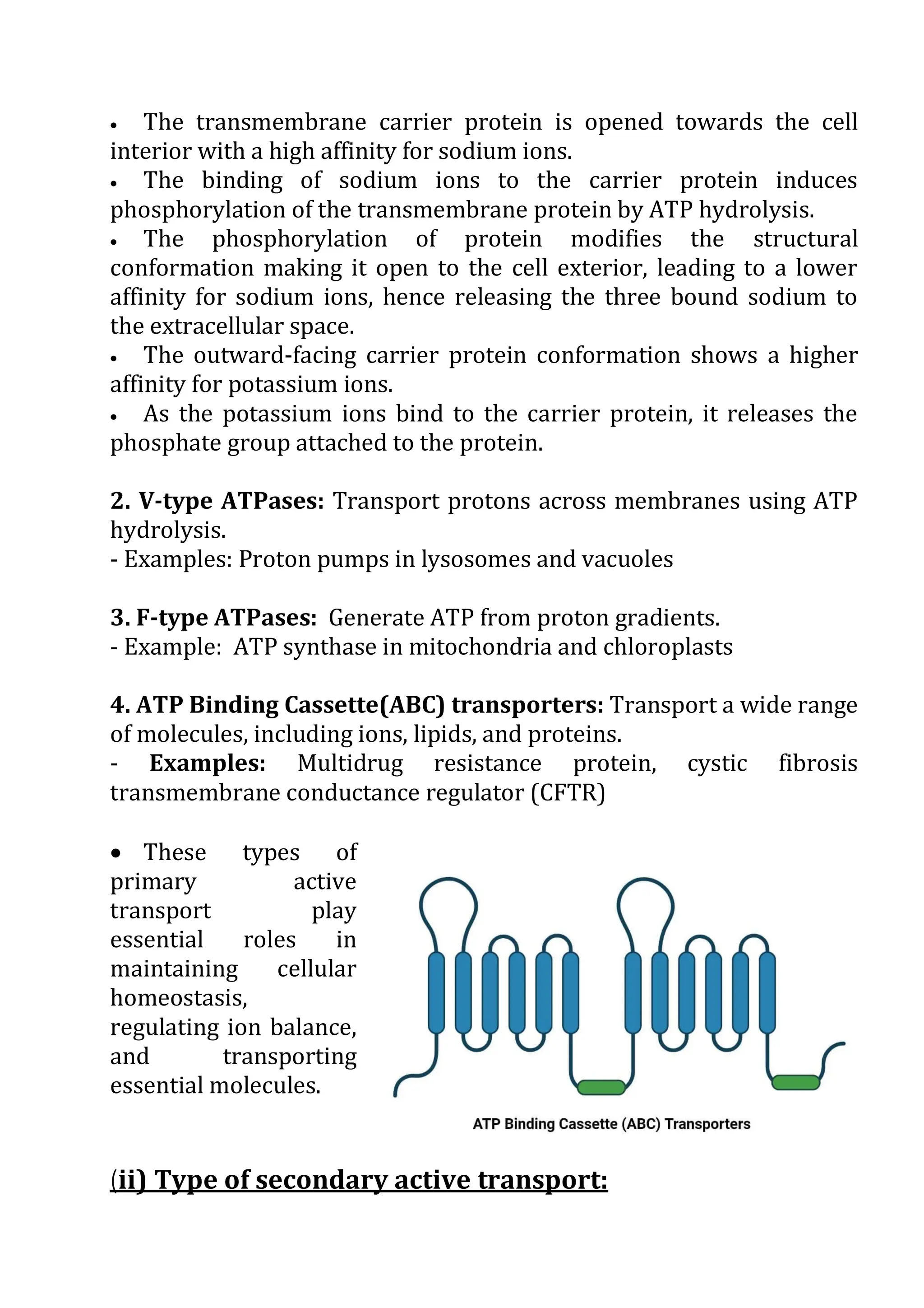 Active transport and Pumps, Uniports, Symports and Antiports. | PDF