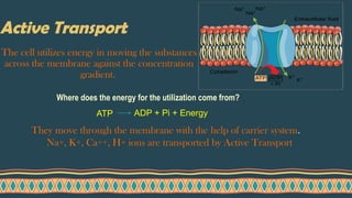 ACTIVE TRANSPORT PPT FOR MEDICAL ALLIED HEALTH.PPTX