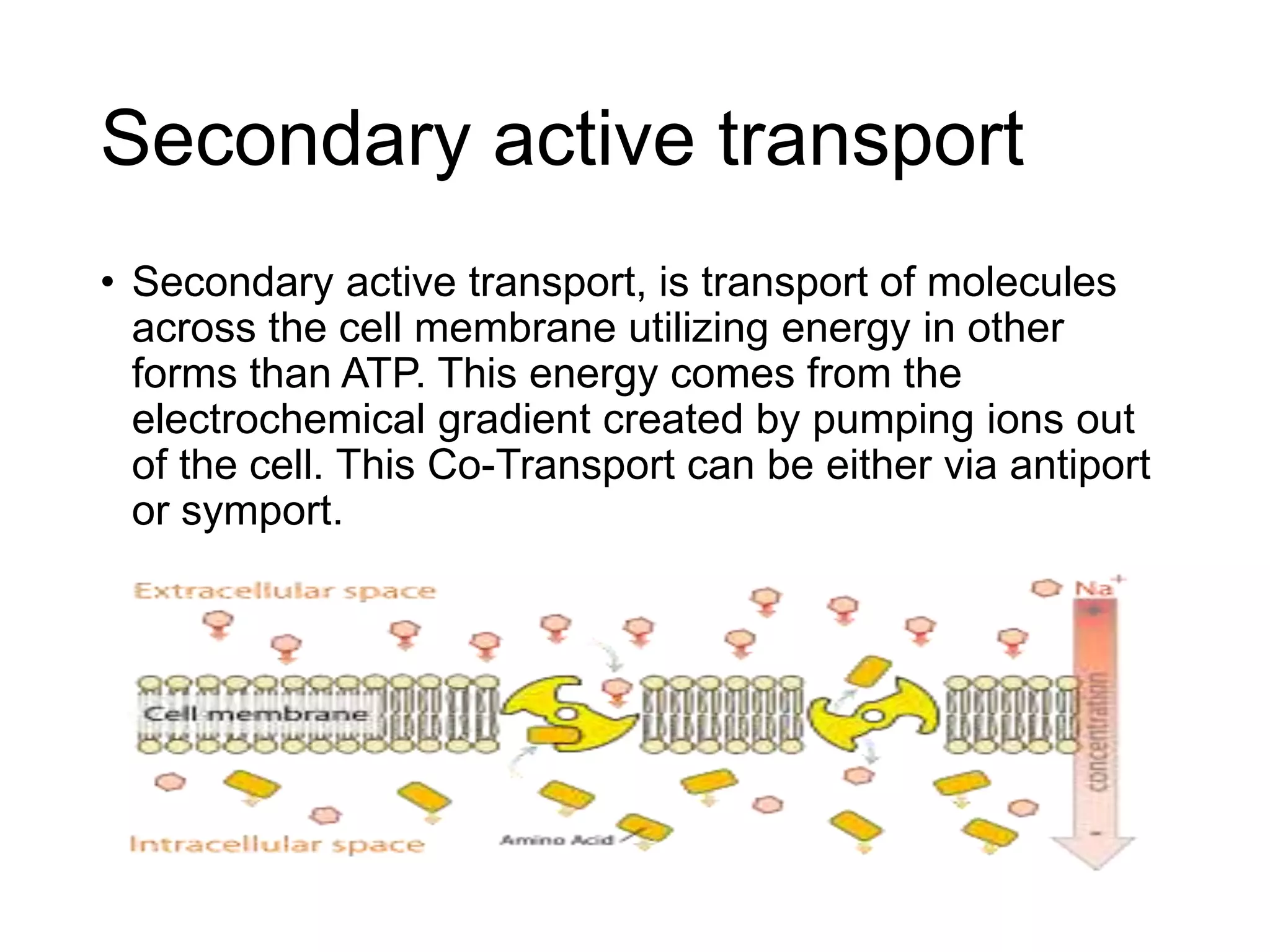 Energetics and Saturation Kinetics of Active Transport | PPT