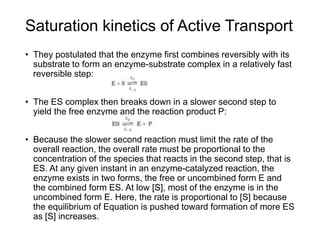 Energetics and Saturation Kinetics of Active Transport | PPT