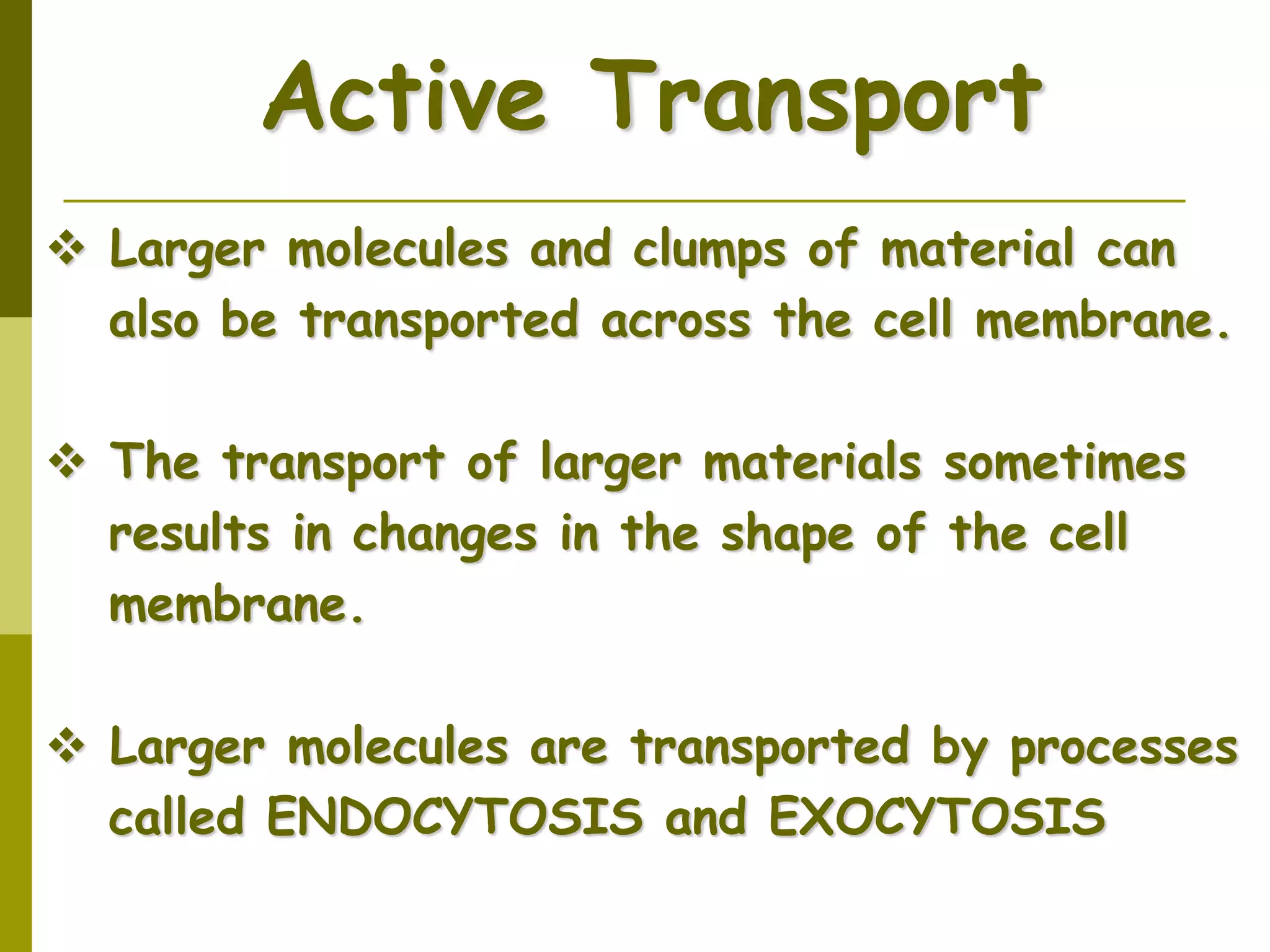 Active transport 13-14 | PPT