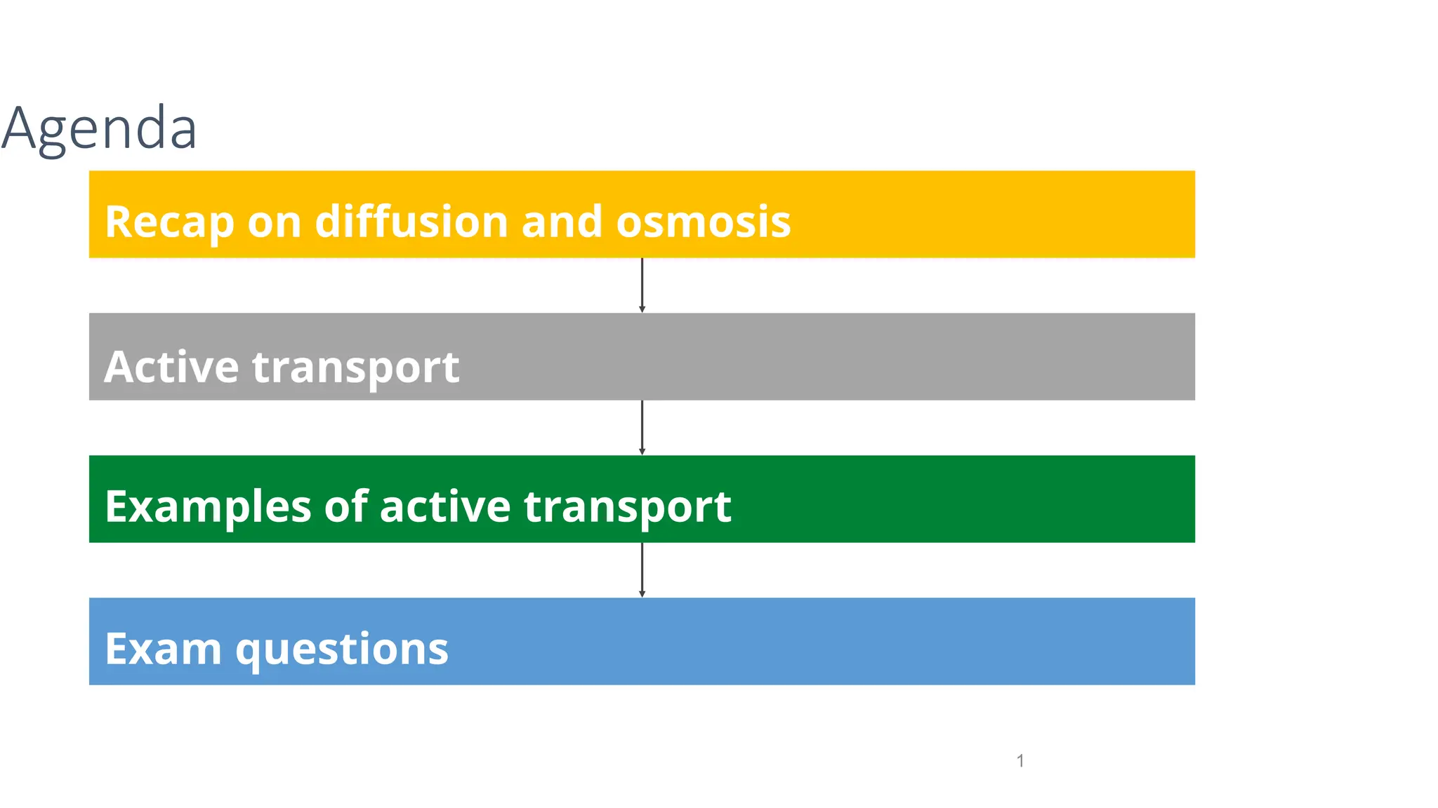 Active transport diffusion recap example | PPTX