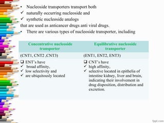 Active transporter | PPT