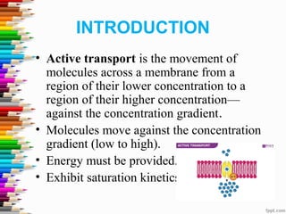 Active transporter | PPT