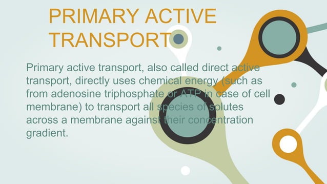 ACTIVE TRANSPORT LESSON 2.pdf........... | PDF