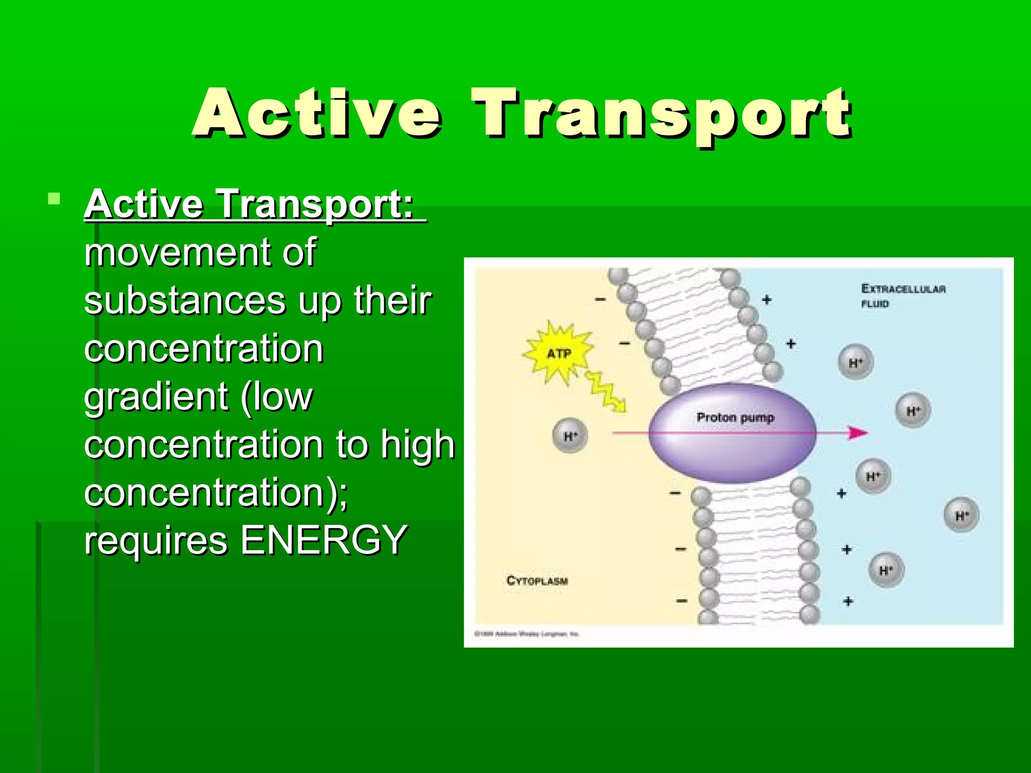 Active Transport Notes | PPT