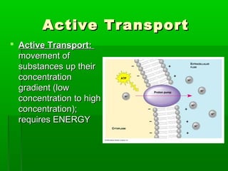 Active Transport Notes | PPT