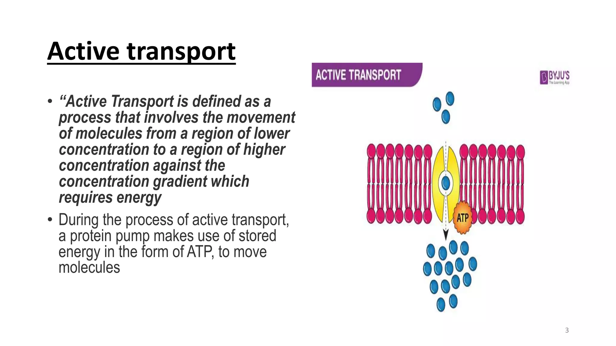 ACTIVE TRANSPORT Pgp,BCRP,NT.pptx