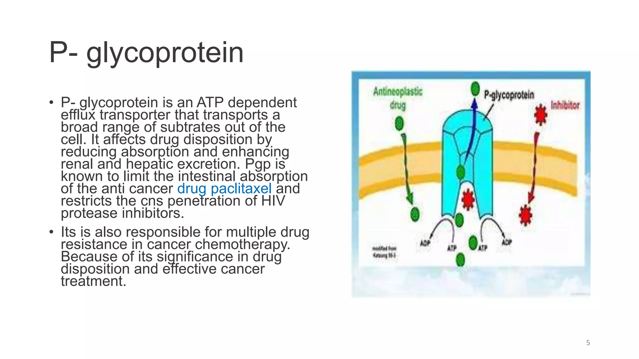 ACTIVE TRANSPORT Pgp,BCRP,NT.pptx