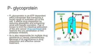ACTIVE TRANSPORT Pgp,BCRP,NT.pptx