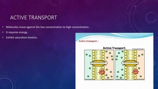 Active Transport : Primary and secondary transport ppt.pptx