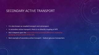 Active Transport : Primary and secondary transport ppt.pptx