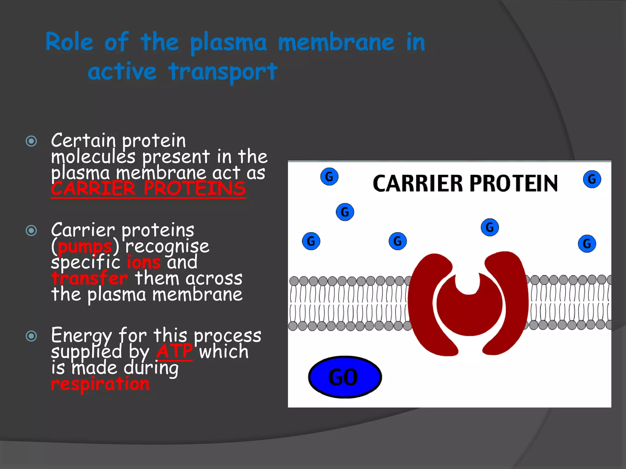 Active transport pptx | PPT | Biological Sciences | Science