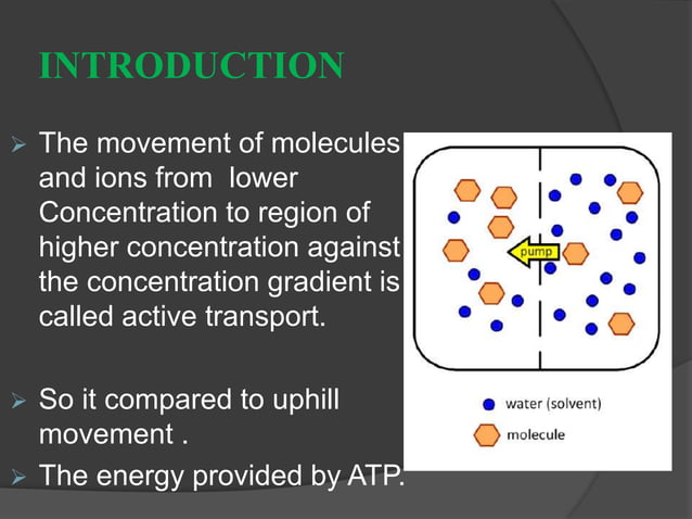 Active transport pptx | PPT