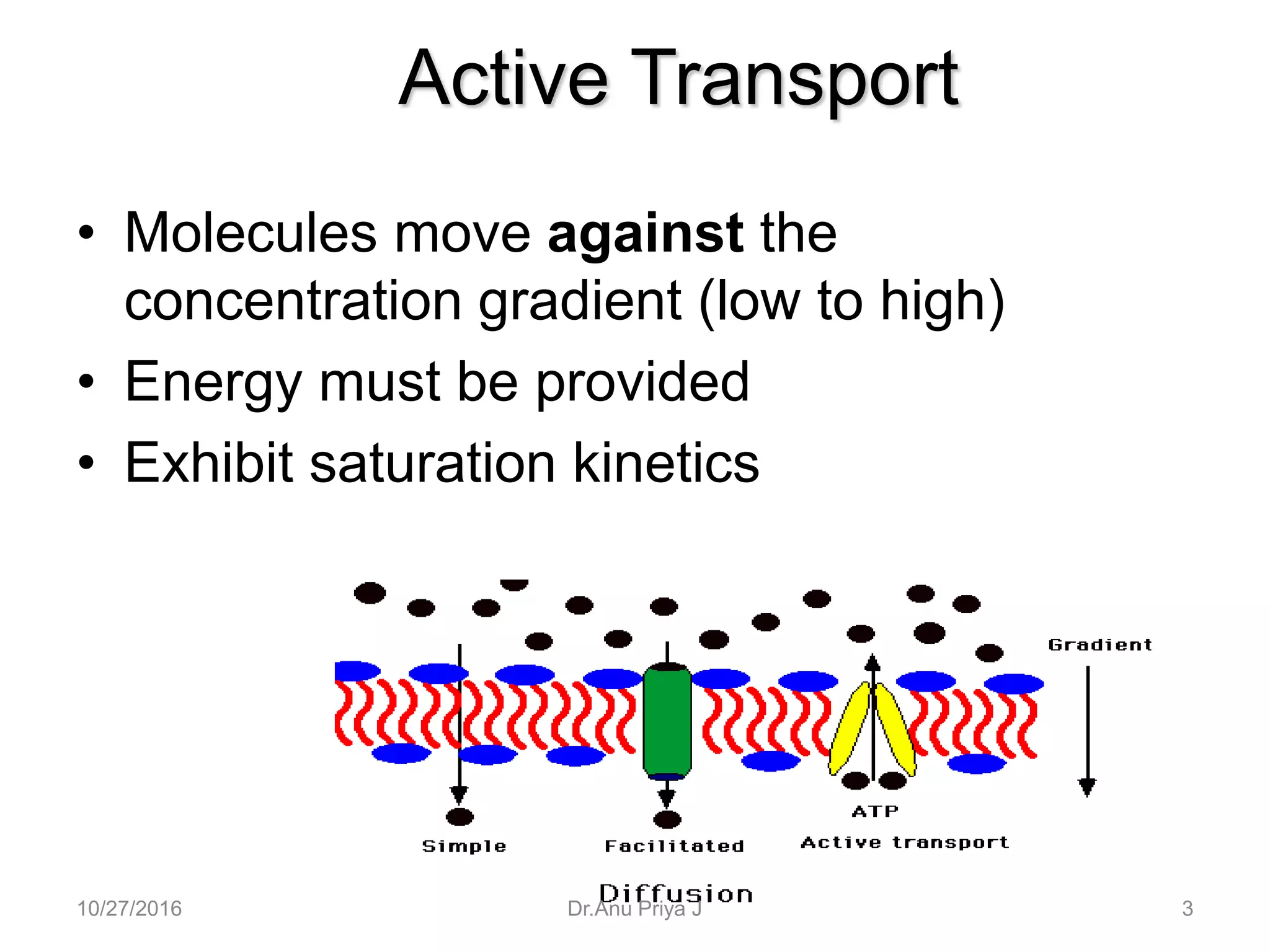 Active transport | PPTX