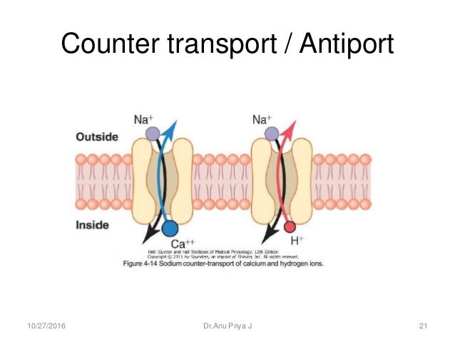 Active transport