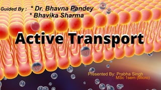 Active transport system | PPT