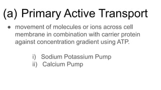 Active transport system | PPT