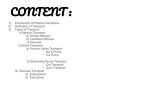 Active transport system | PPT