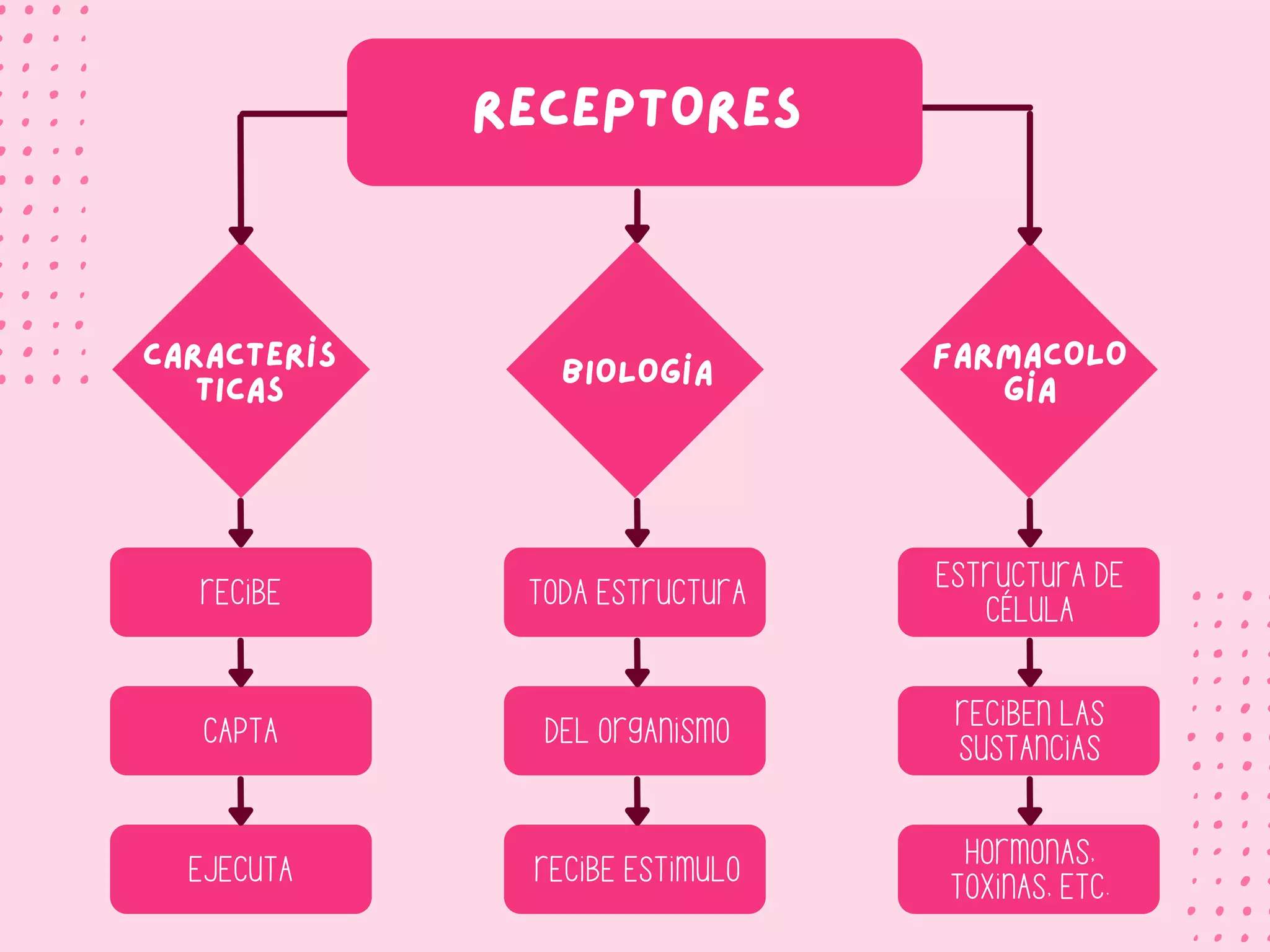 Receptores Tipos Y Funciones Ppt