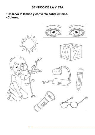 Actividad-de-Los-Sentidos-para-ninos-de-cuatro-anos.doc