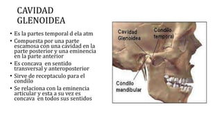 Articulacion temporomandibular | PPTX