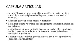 Articulacion temporomandibular | PPTX