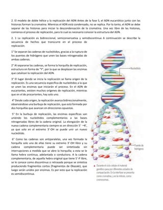Actividad 1 y 2_ ADN y Replicación.docx
